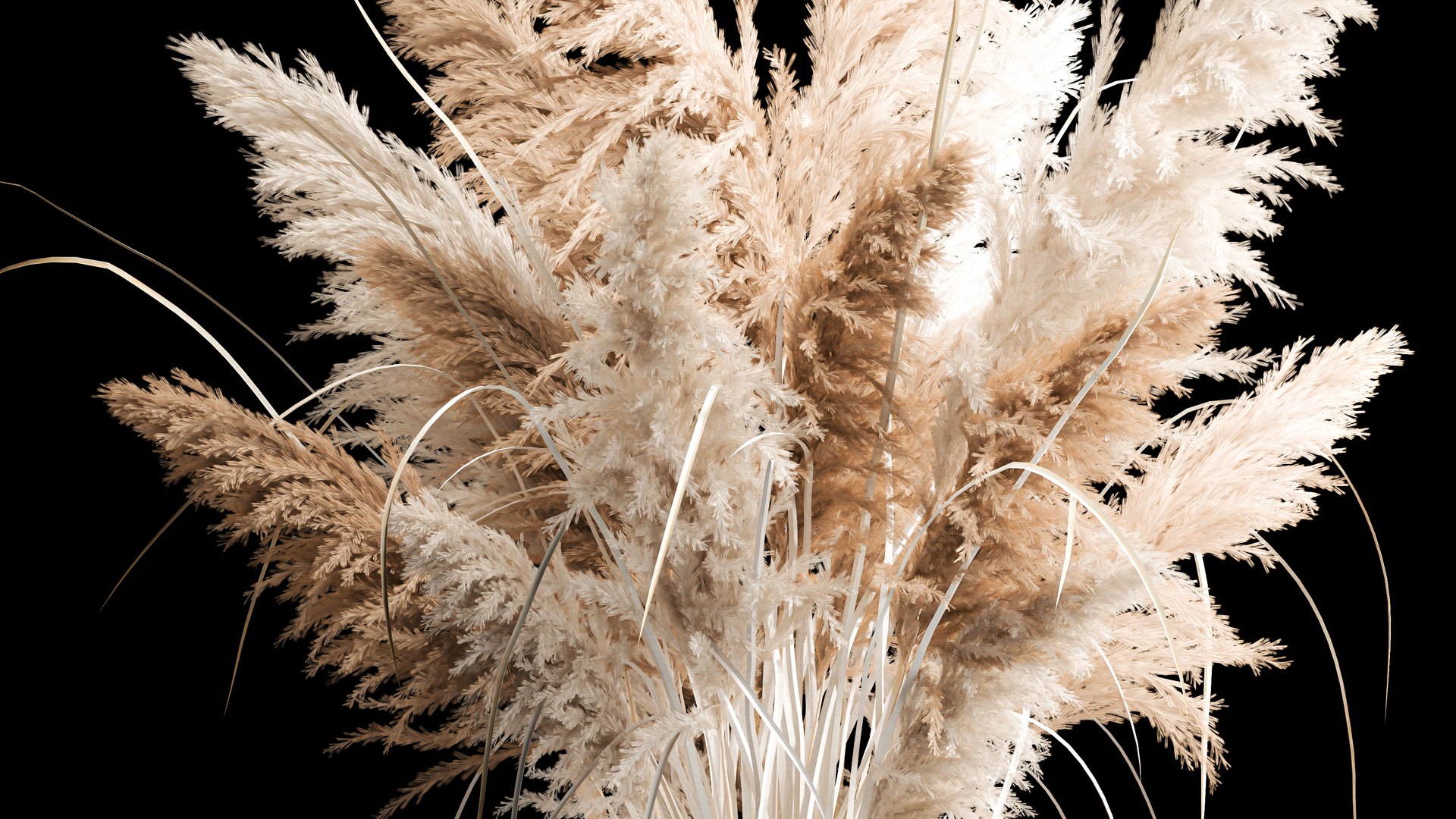 3D Bouquet Of Dry Reeds In A White Wicker Basket For Decoration 256 ...