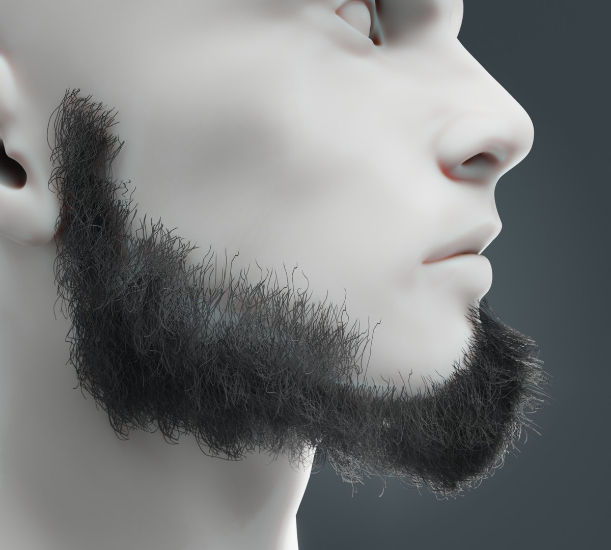 Beard RealTime 6 Version 2 Model - TurboSquid 1892342
