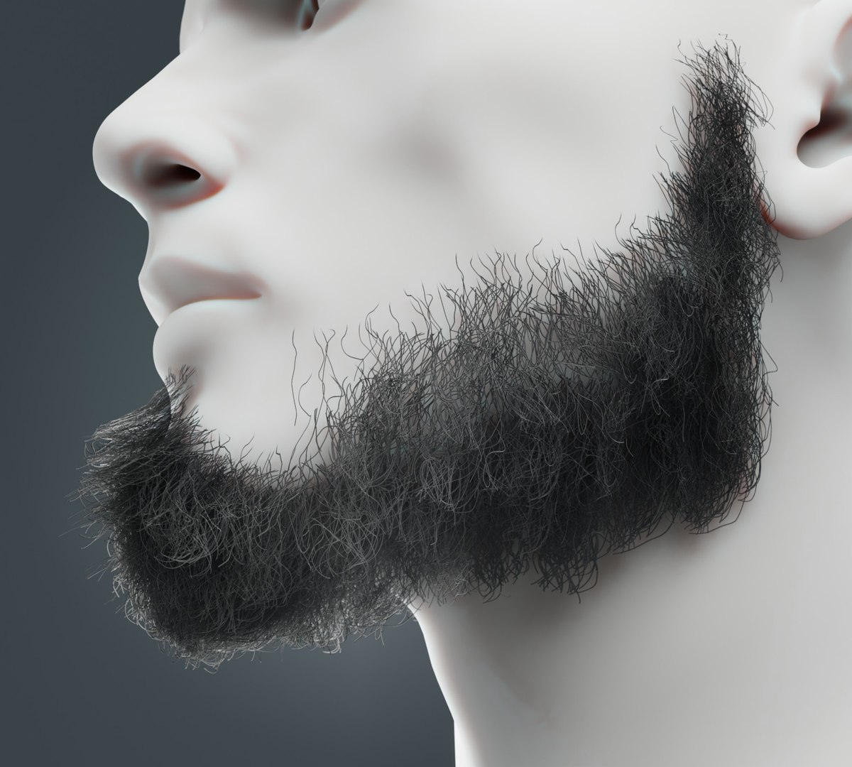 Beard RealTime 6 Version 2 Model - TurboSquid 1892342