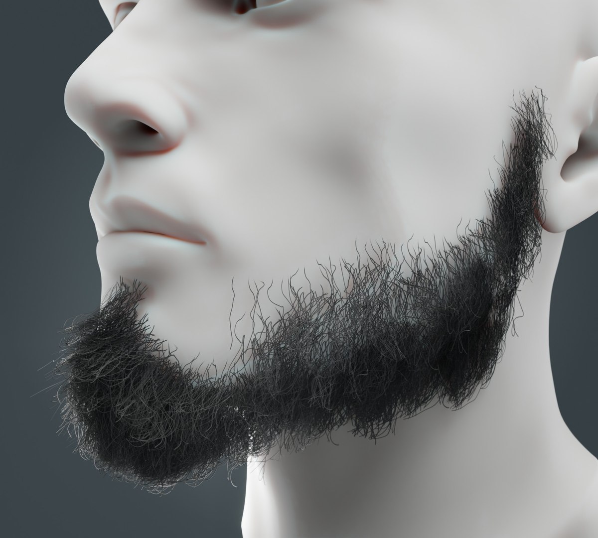 Beard RealTime 6 Version 2 Model - TurboSquid 1892342