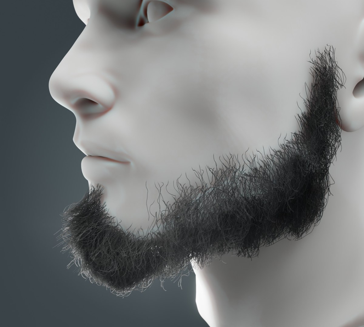 Beard RealTime 6 Version 2 Model - TurboSquid 1892342