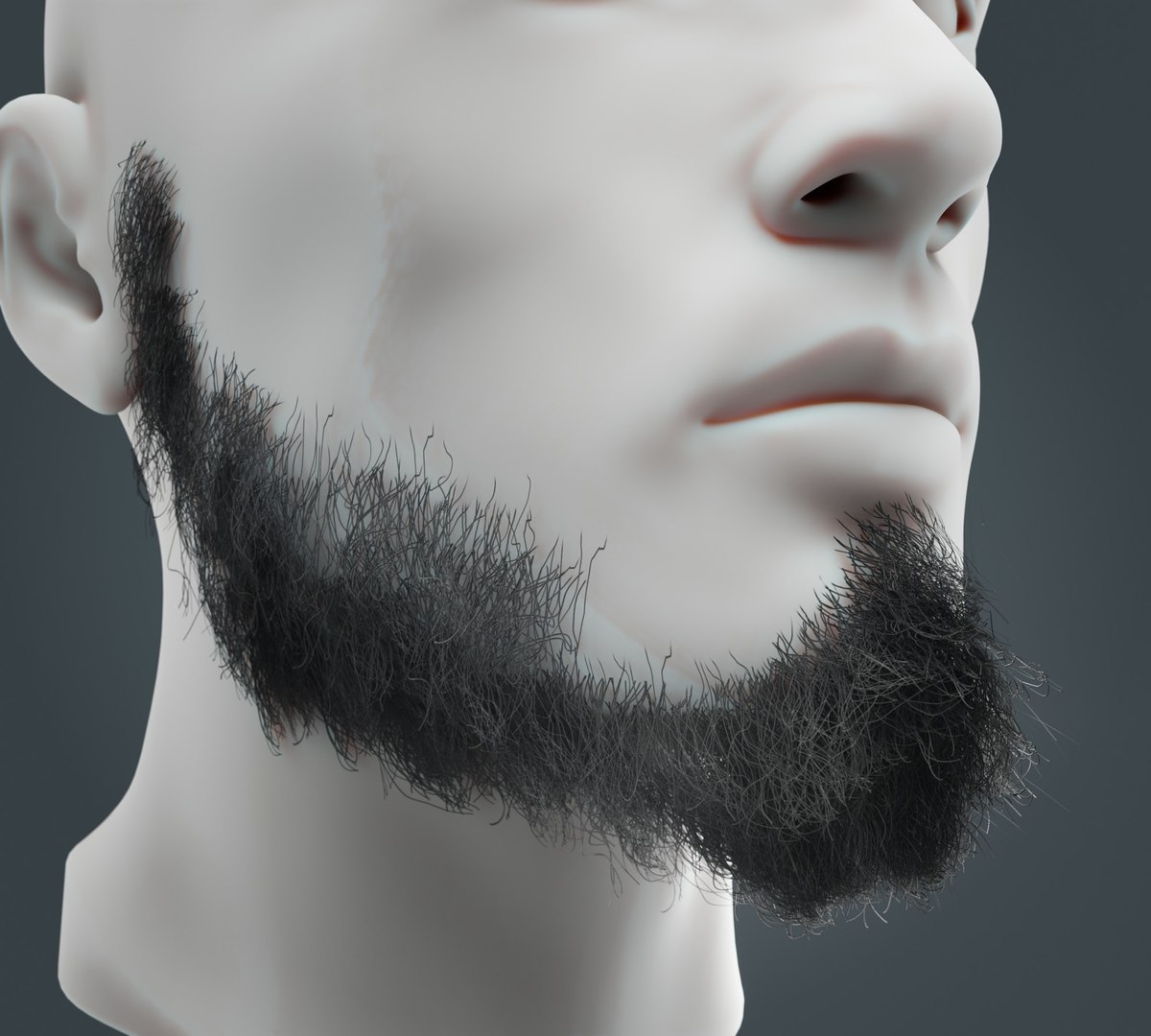 Beard RealTime 6 Version 2 Model - TurboSquid 1892342