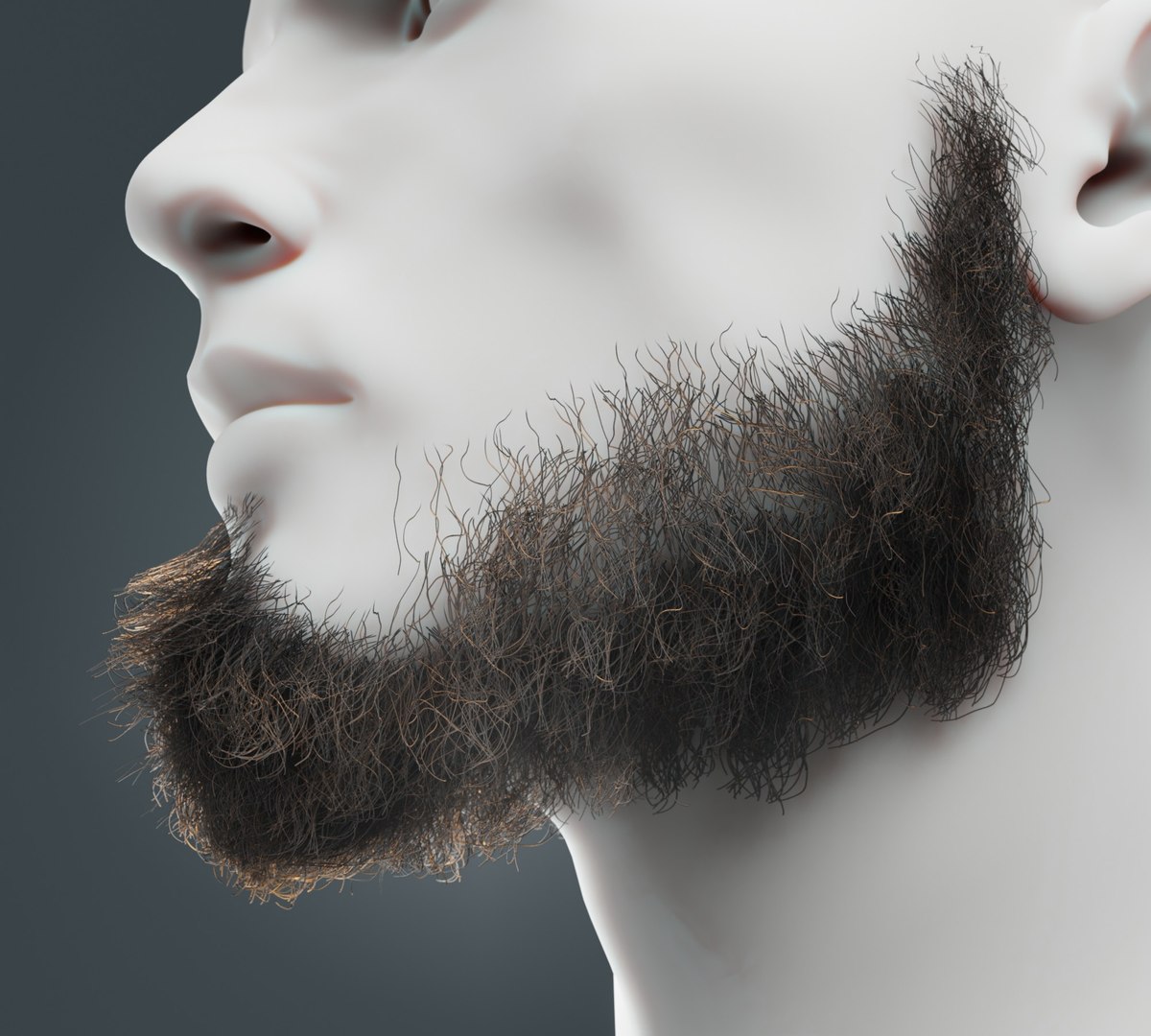 Beard RealTime 6 Version 2 Model - TurboSquid 1892342