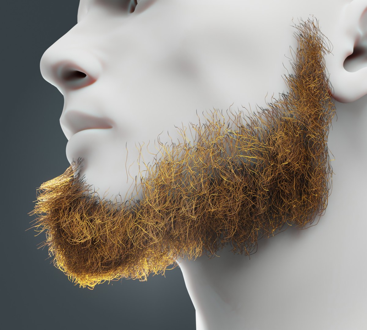 Beard RealTime 6 Version 2 Model - TurboSquid 1892342