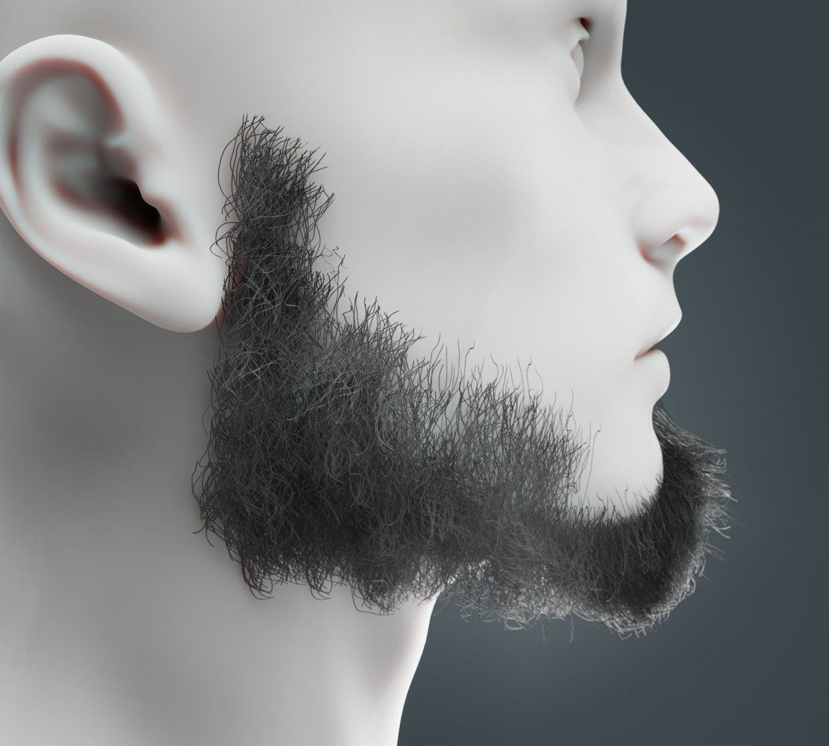 Beard RealTime 6 Version 2 Model - TurboSquid 1892342