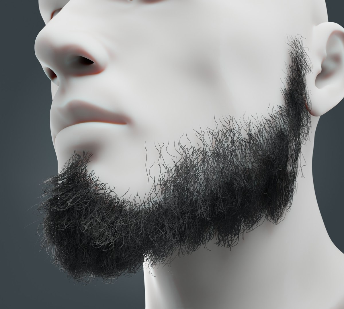 Beard RealTime 6 Version 2 Model - TurboSquid 1892342