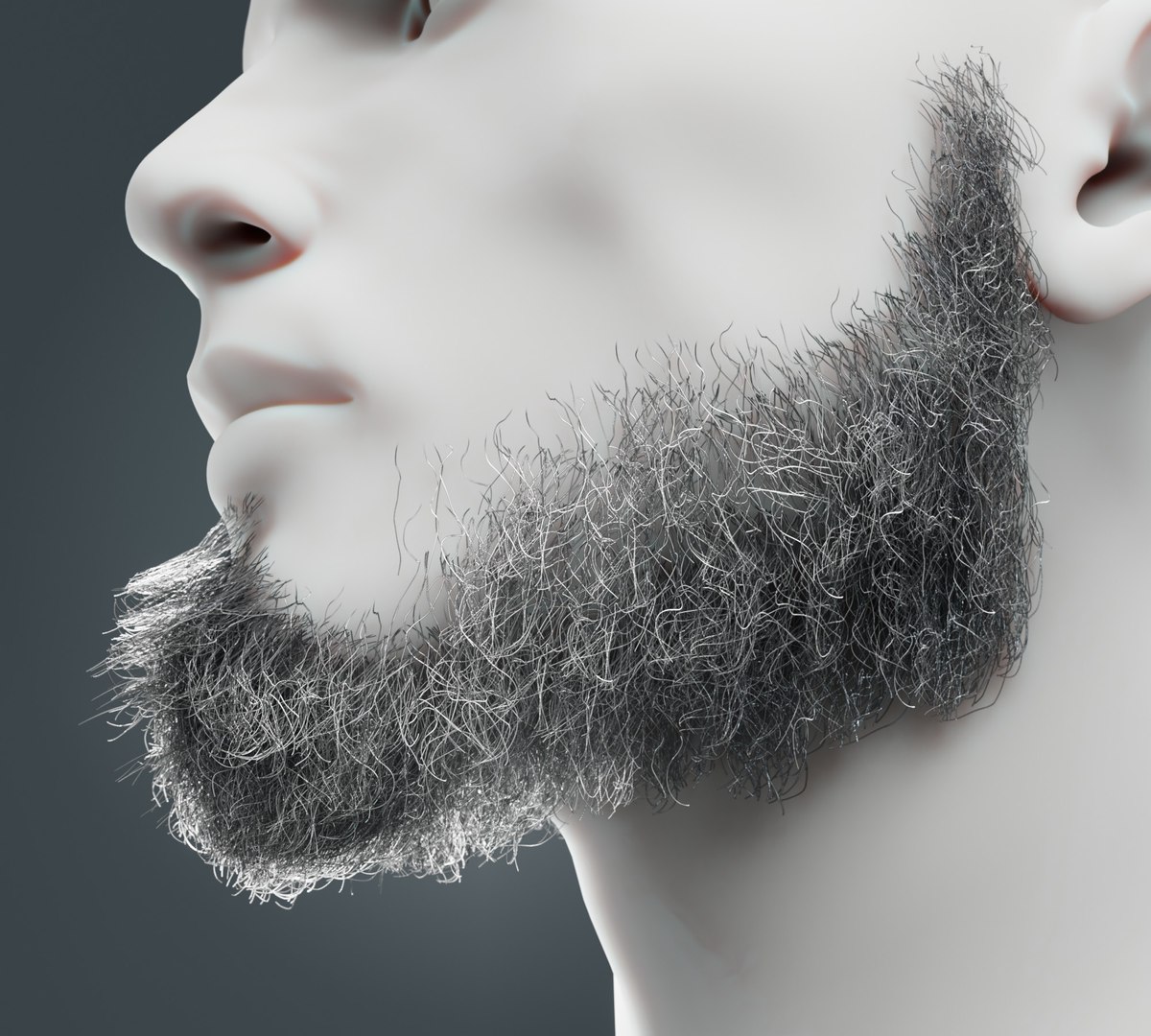 Beard RealTime 6 Version 2 Model - TurboSquid 1892342