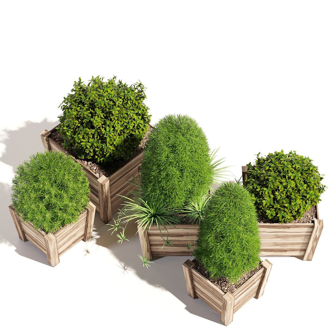 3D Acacia Hardwood Planters Model - TurboSquid 1196684