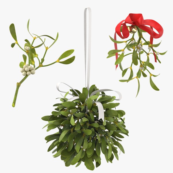 Mistletoe 3D Models for Download | TurboSquid