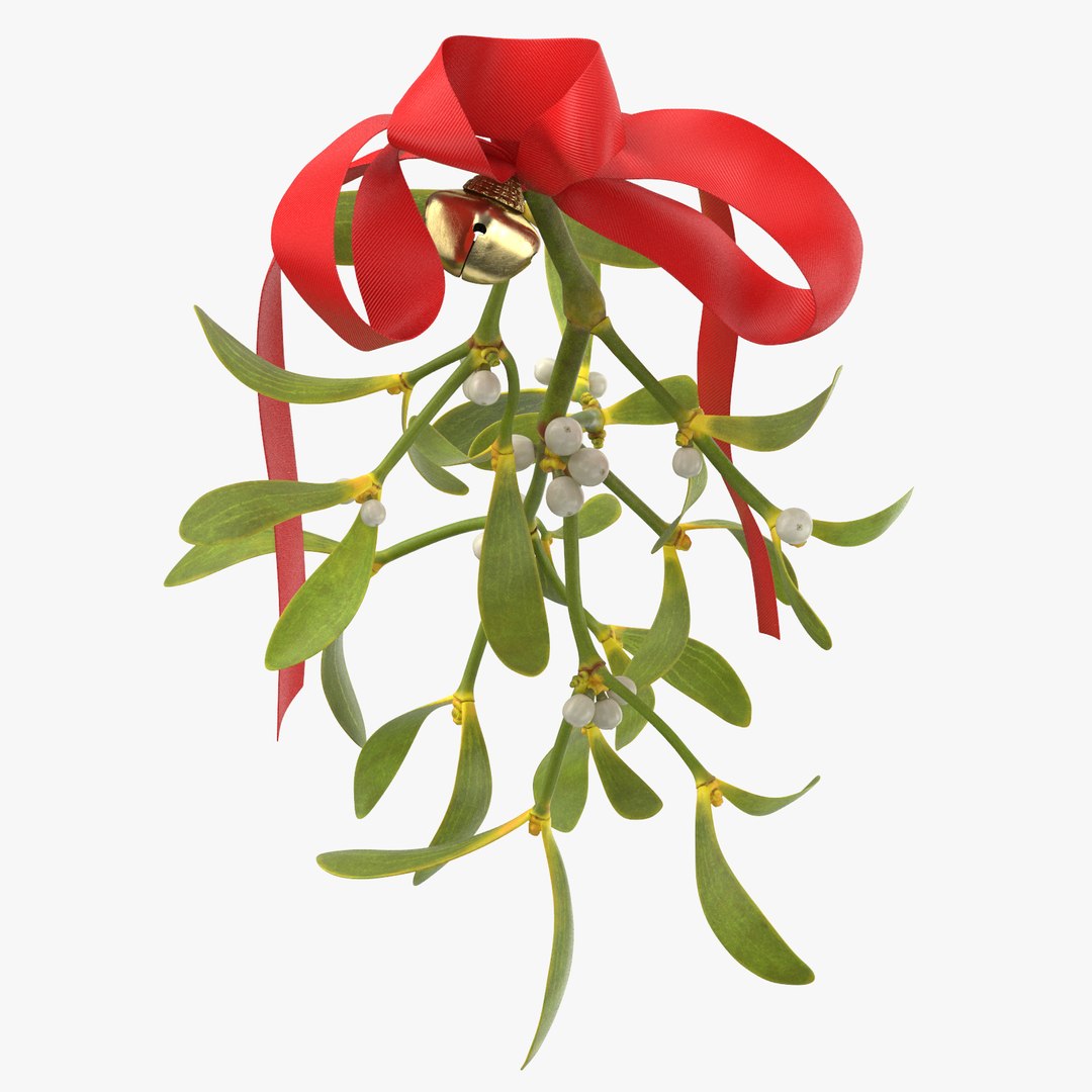 max mistletoe ribbon