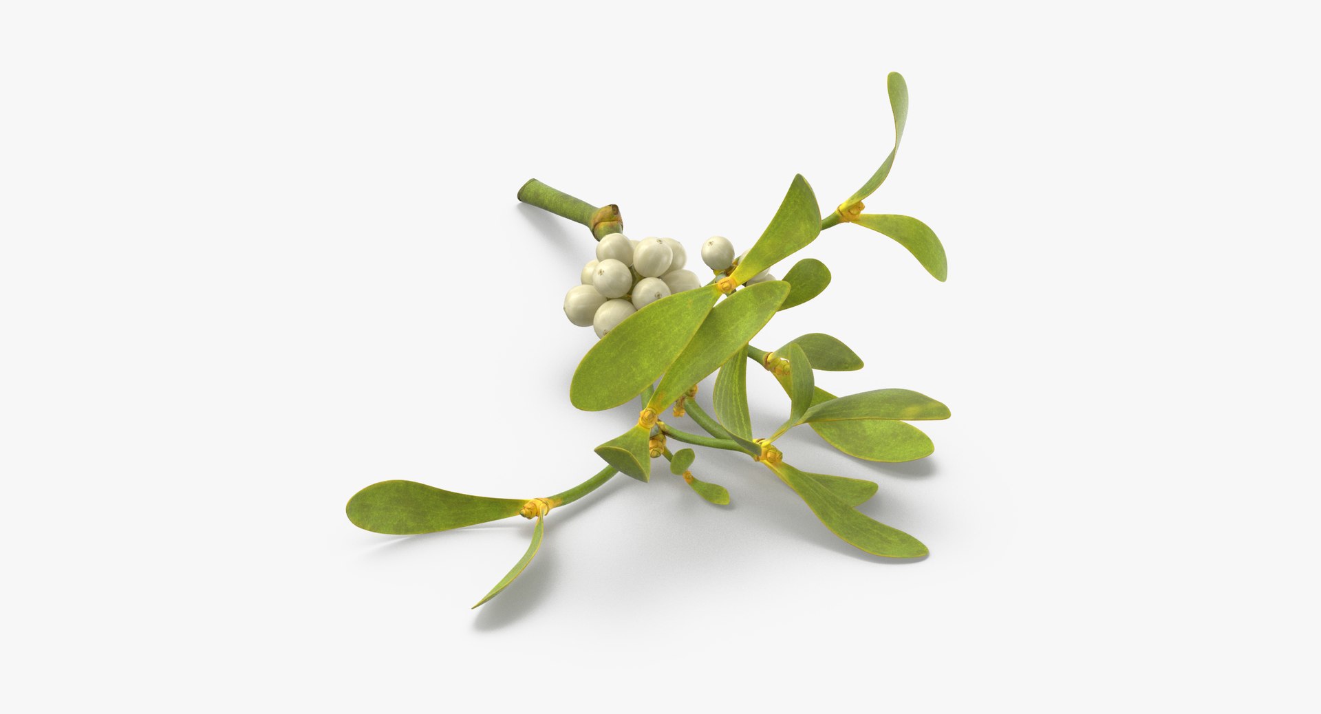 max mistletoe ribbon