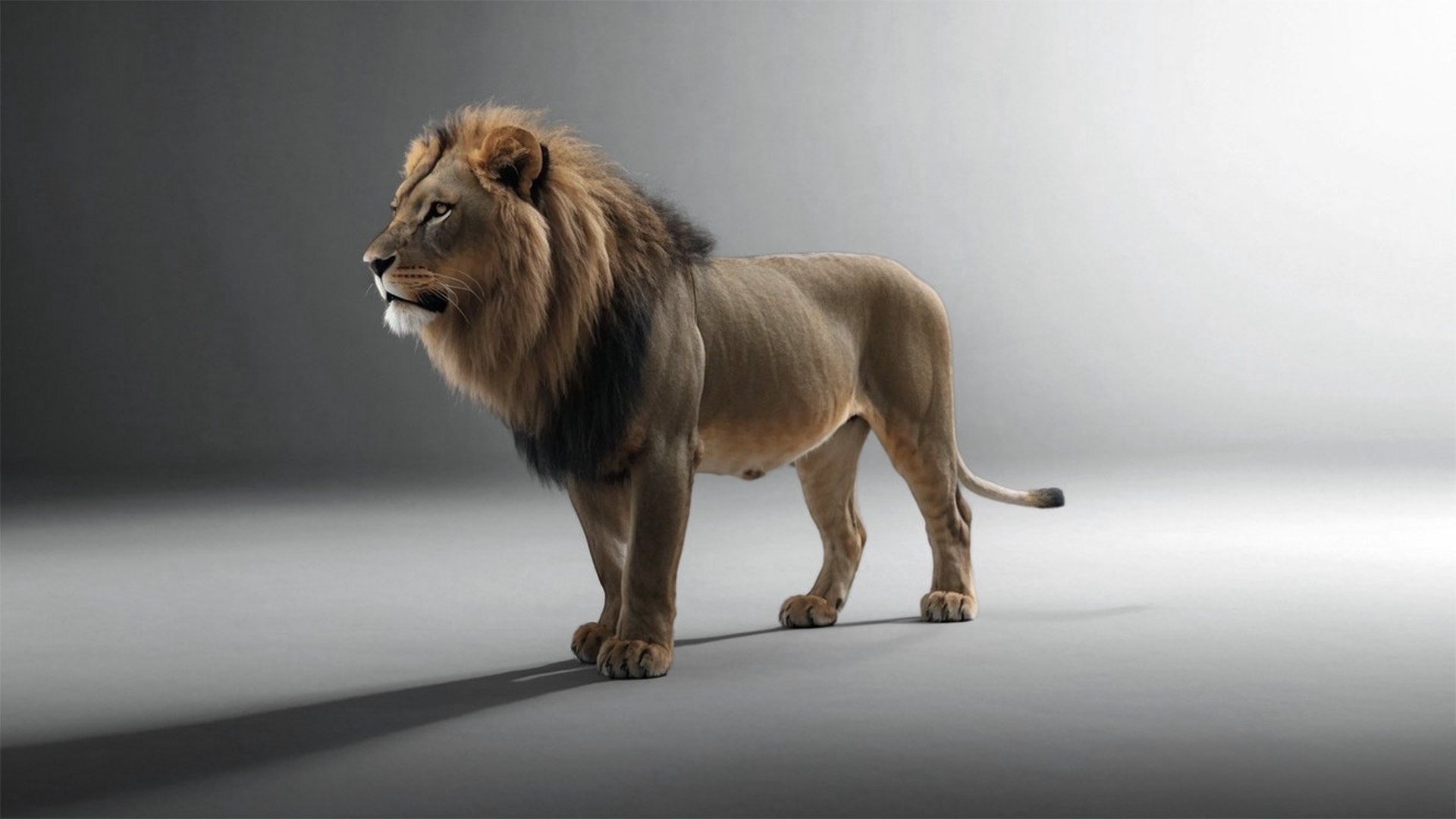 3D Rigged Male Lion With Animation And 4k Textures - TurboSquid 2423429