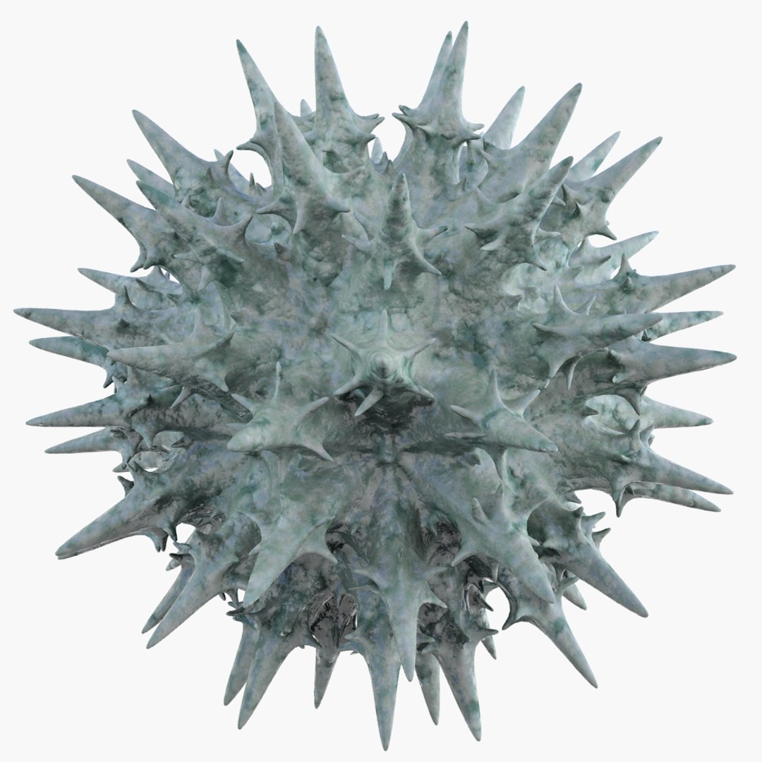 3d model micro object mht