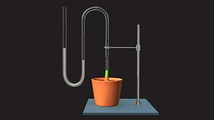 3d flax plant model