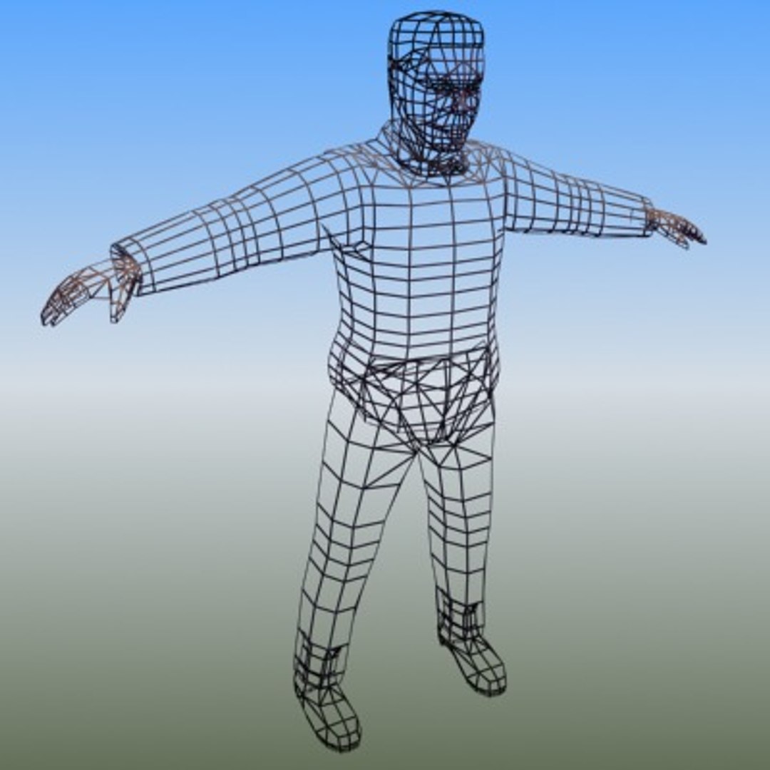 3d Model Human Rigged