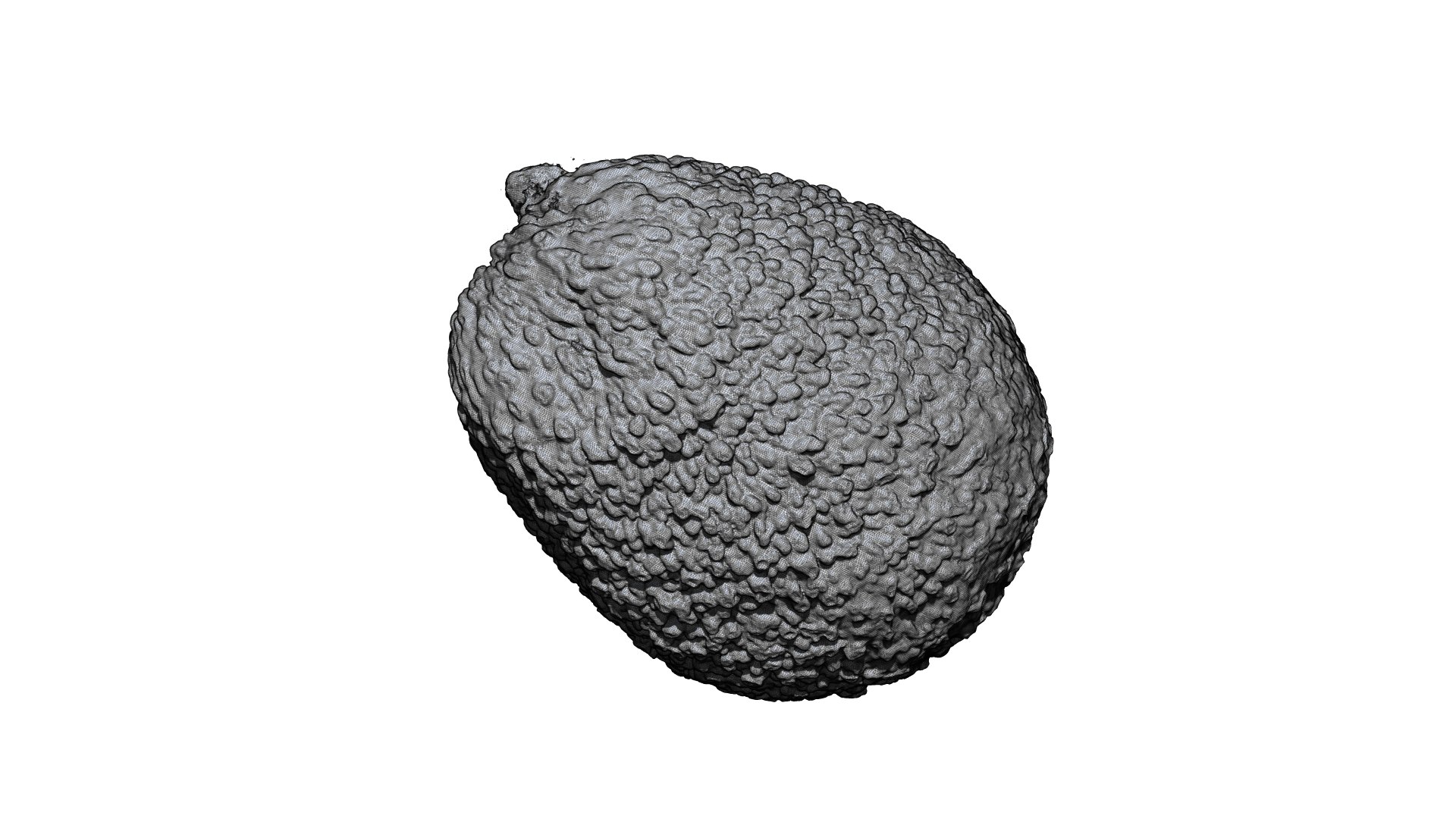 3D Model Avocado 3D CT Scan Model - TurboSquid 1932351