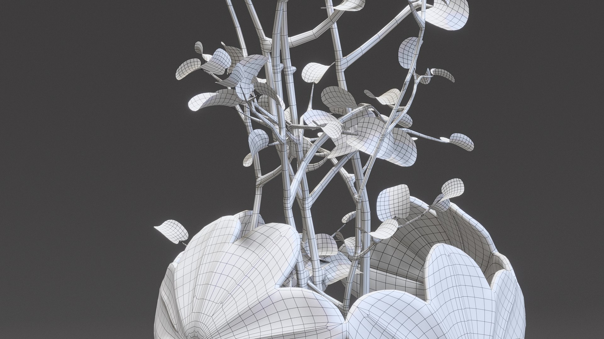 Indoor Plants In A Decorative Vases 3D Model - TurboSquid 2169616