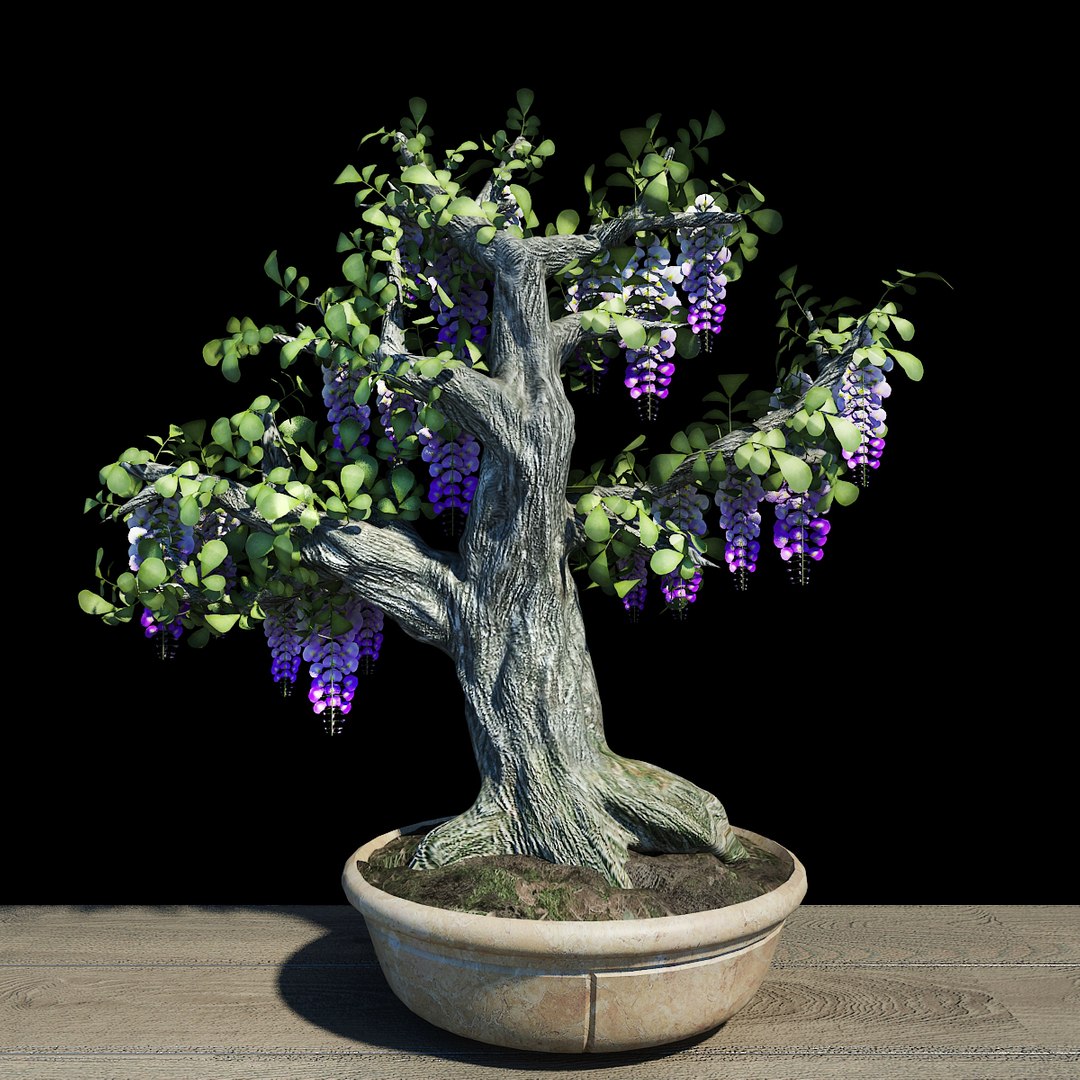3D Bonsai | 1148925 | TurboSquid