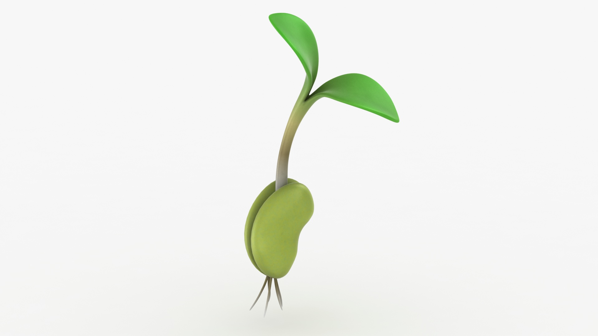 3D model plant roots - TurboSquid 1657225