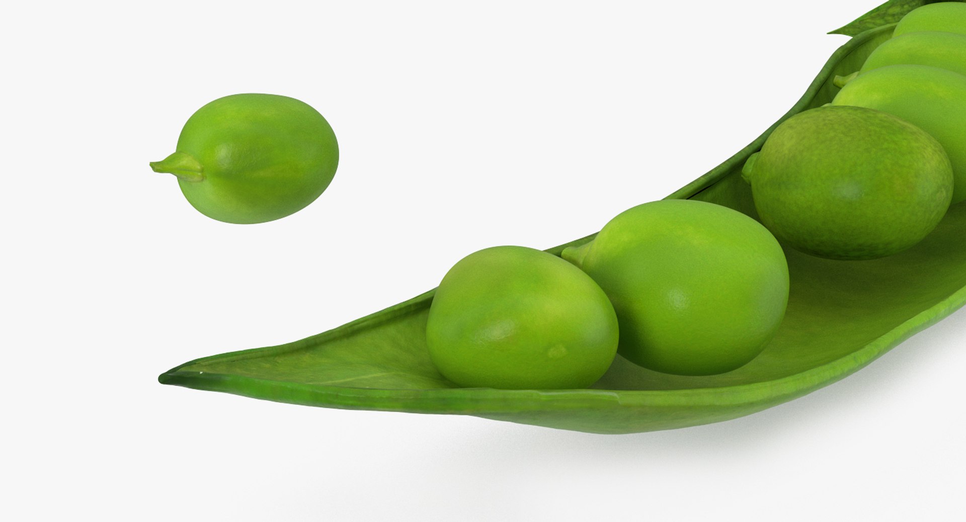 Pea open realistic 3D model - TurboSquid 1226647
