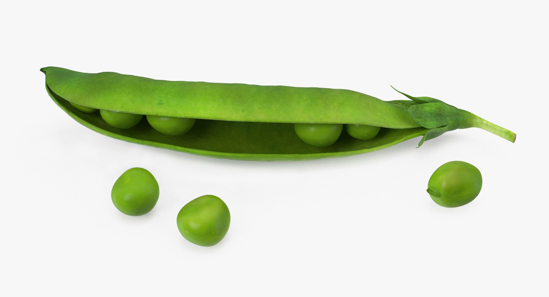 Pea open realistic 3D model - TurboSquid 1226647