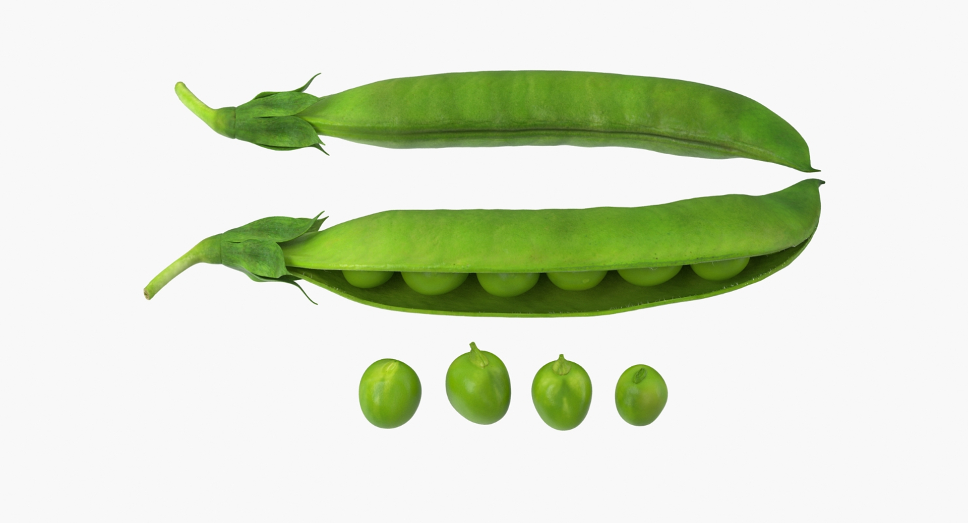 Pea Open Realistic 3D Model - TurboSquid 1226647