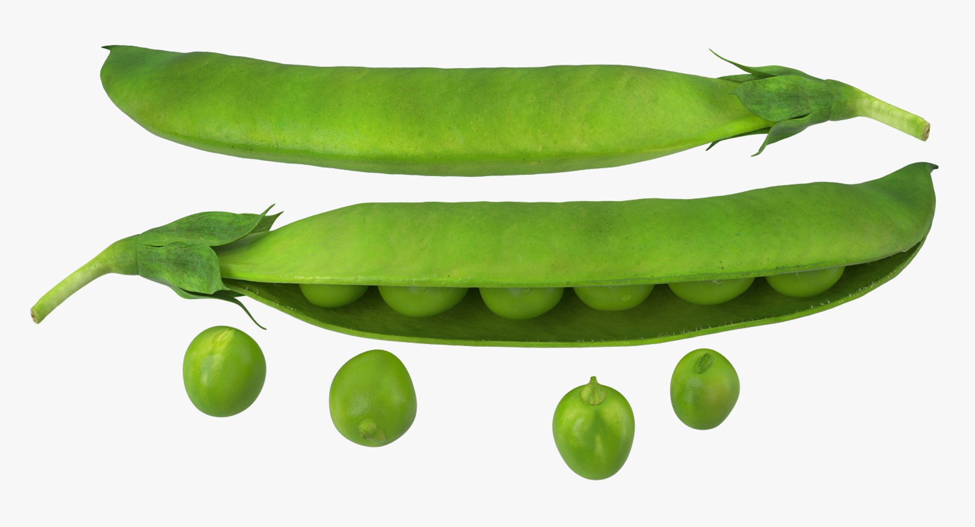 Pea Open Realistic 3D Model - TurboSquid 1226647