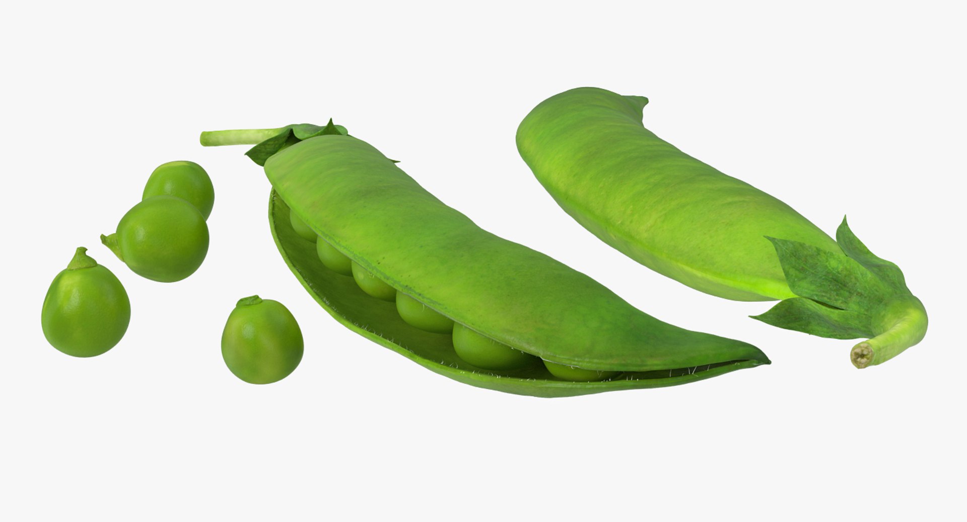 Pea Open Realistic 3D Model - TurboSquid 1226647