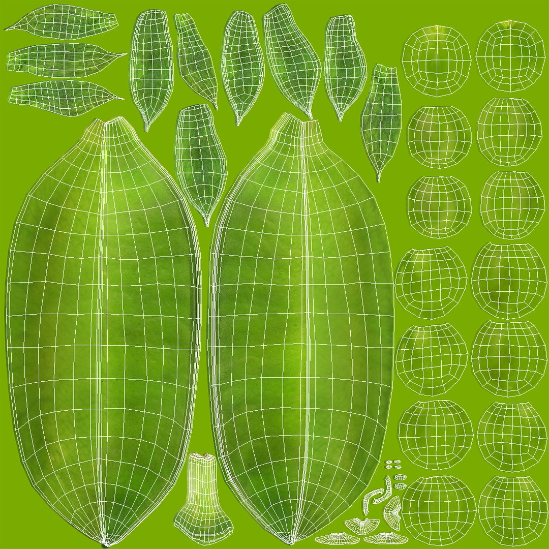 Pea open realistic 3D model - TurboSquid 1226647