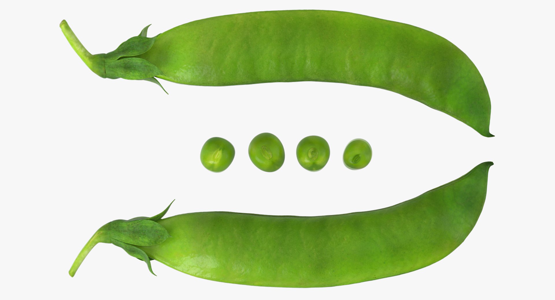 Pea Open Realistic 3D Model - TurboSquid 1226647