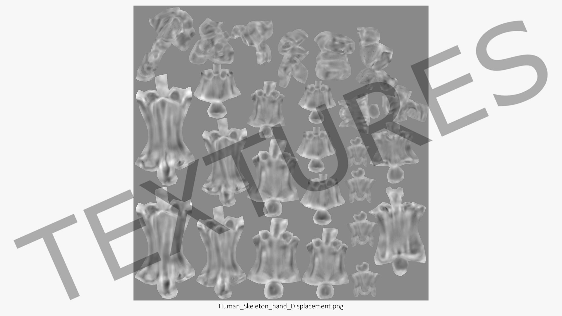 Human Hand Skeleton 3D - TurboSquid 2386045