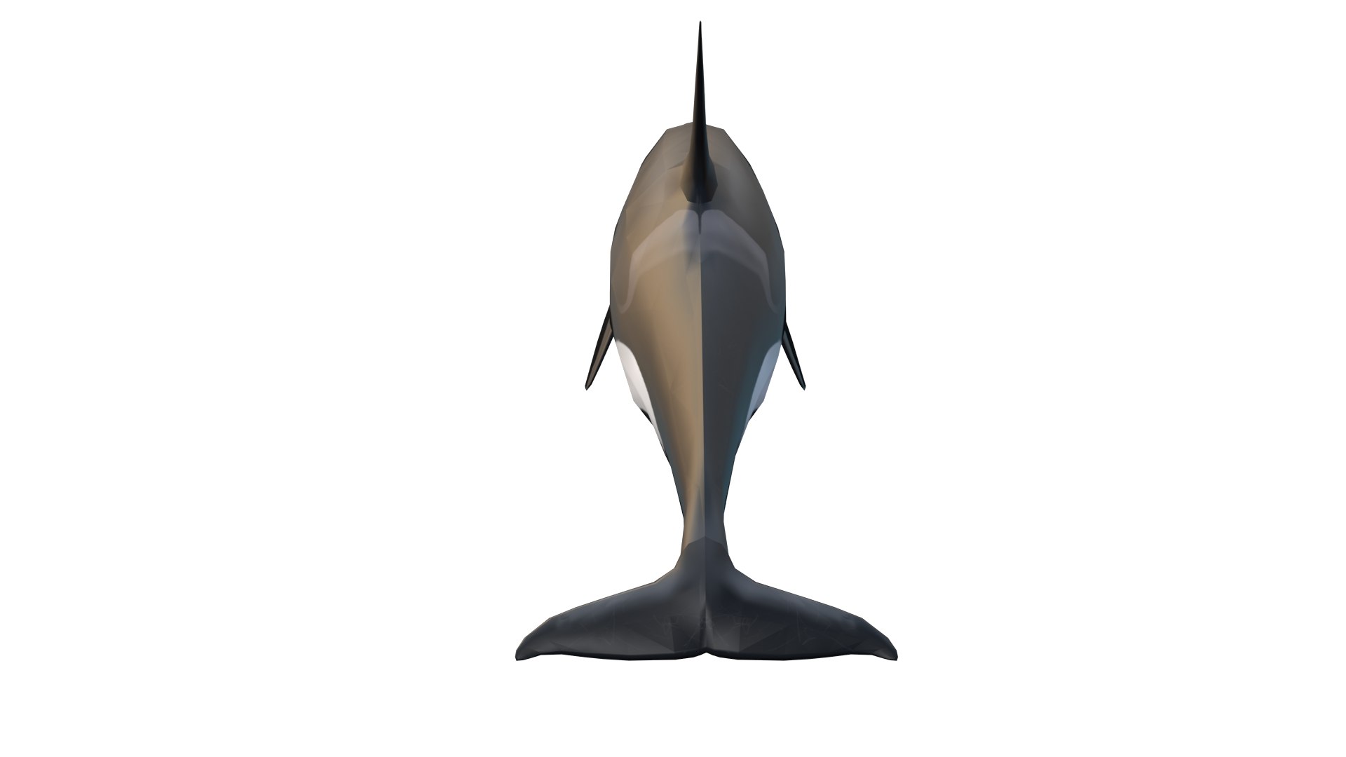 3D Orca Animal 3D Model - TurboSquid 2313609