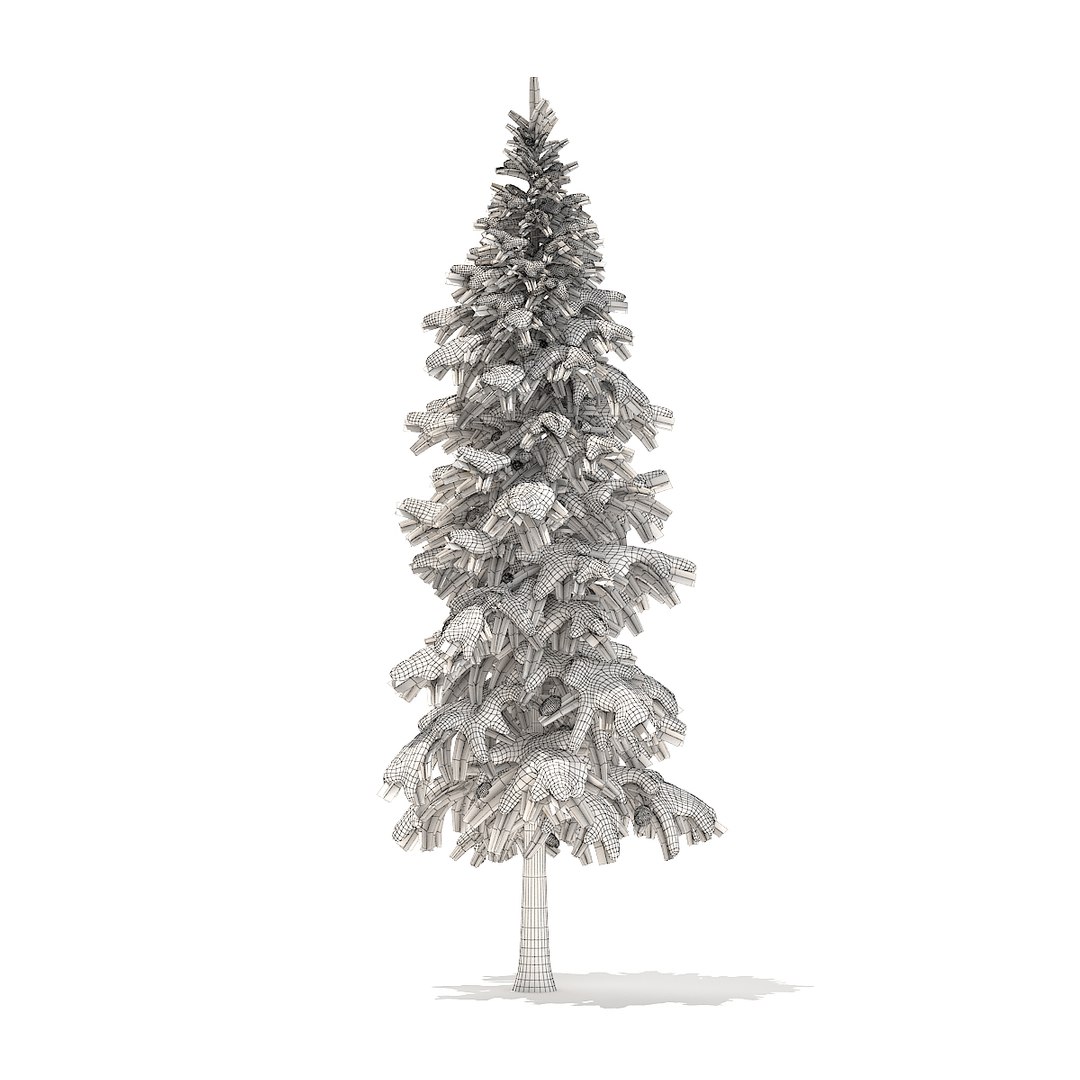Fir Tree Snow 3 Model - TurboSquid 1273681