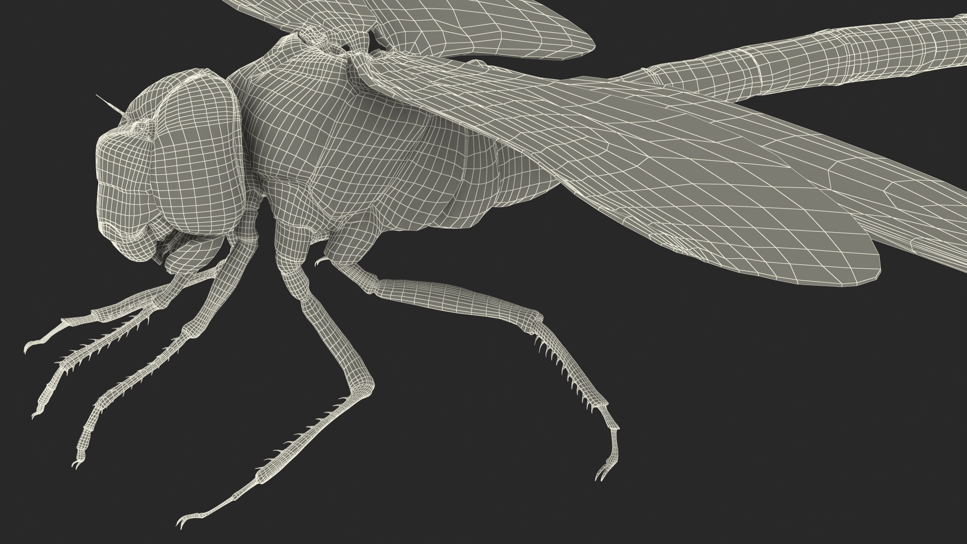 Dragonfly Model - TurboSquid 1981798