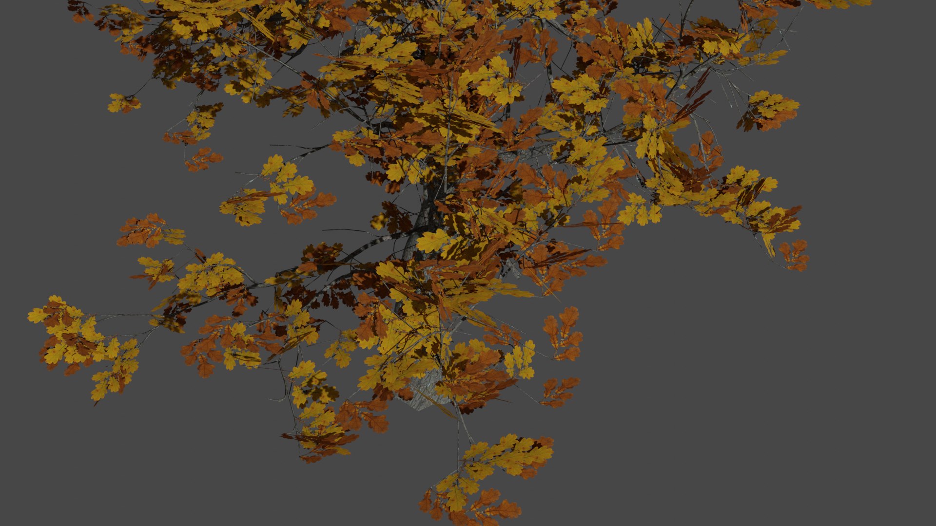 3D Tree Leaf - TurboSquid 1614371