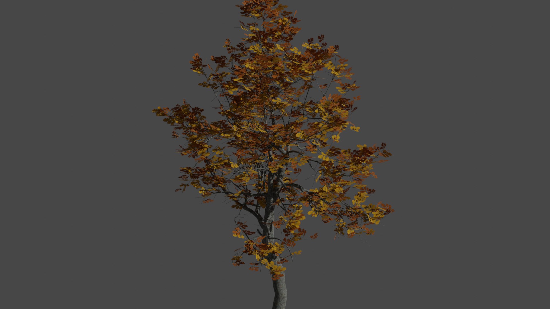 3D Tree Leaf - TurboSquid 1614371
