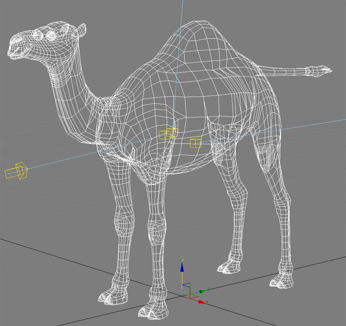 3d Model Camel
