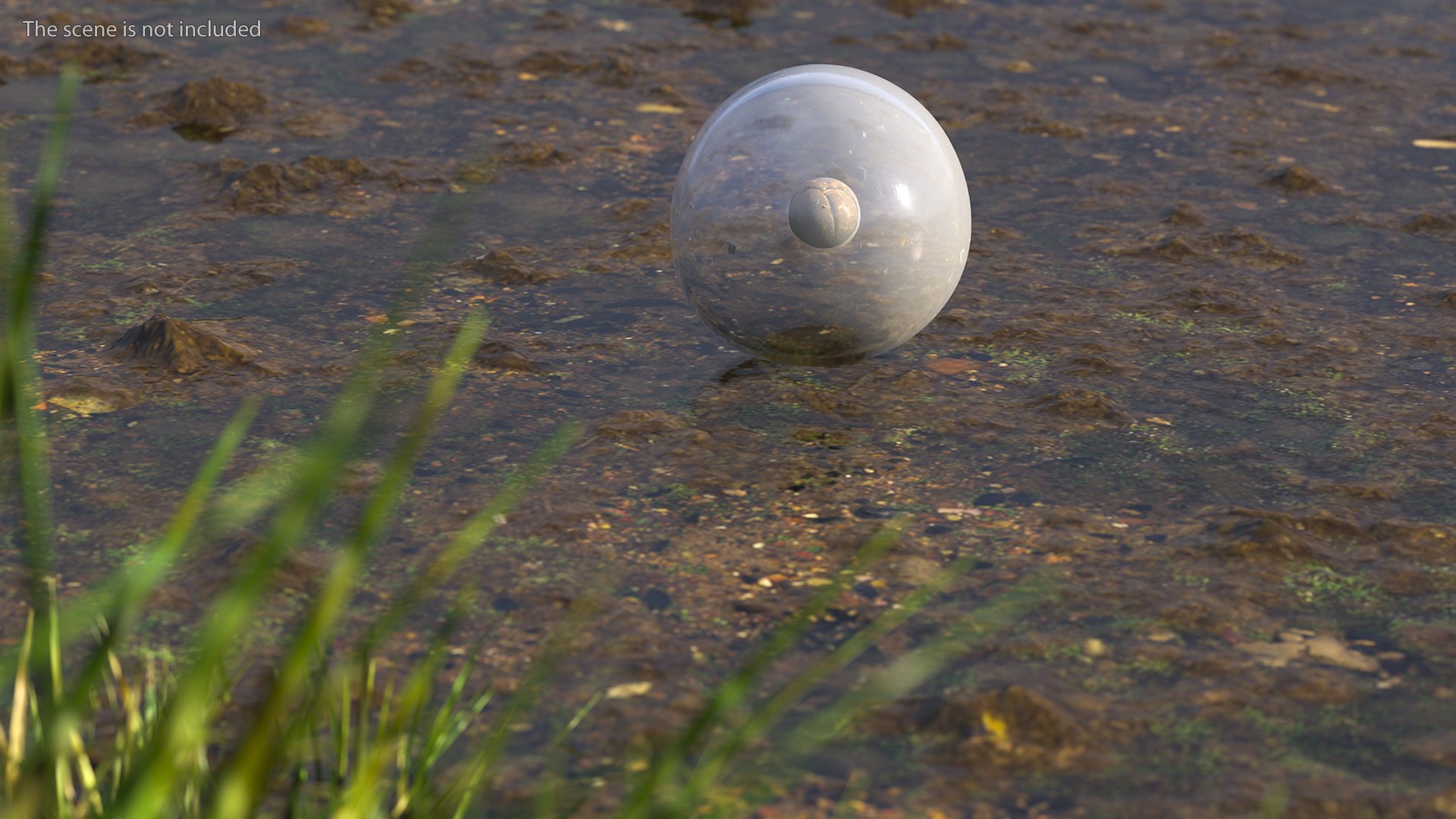 Frog Egg 3D model - TurboSquid 1719526