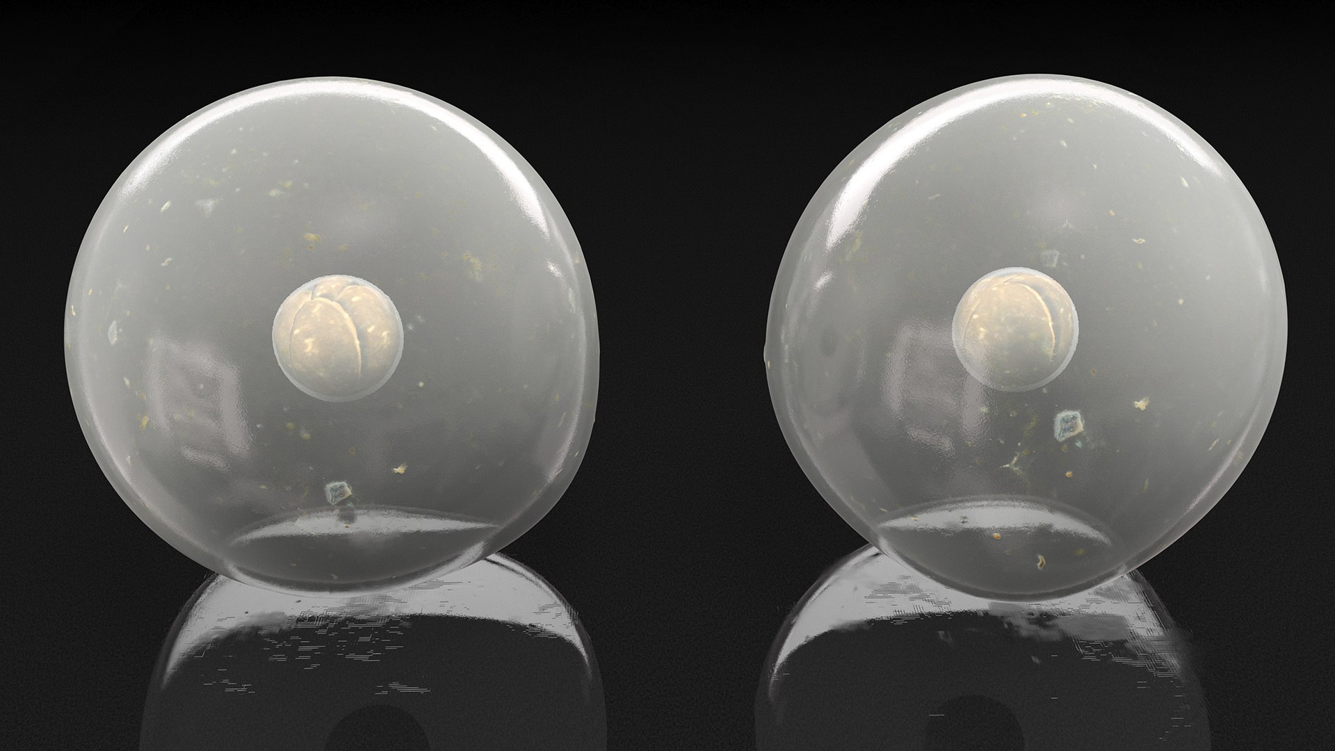 Frog Egg 3D Model - TurboSquid 1719526