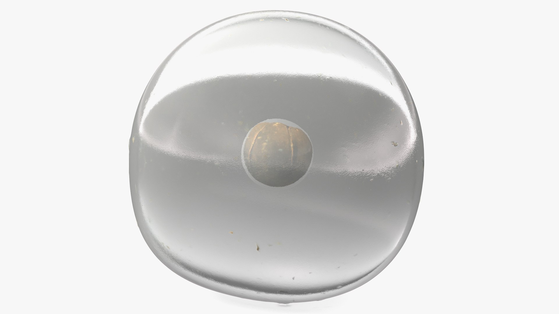 Frog Egg 3D model - TurboSquid 1719526