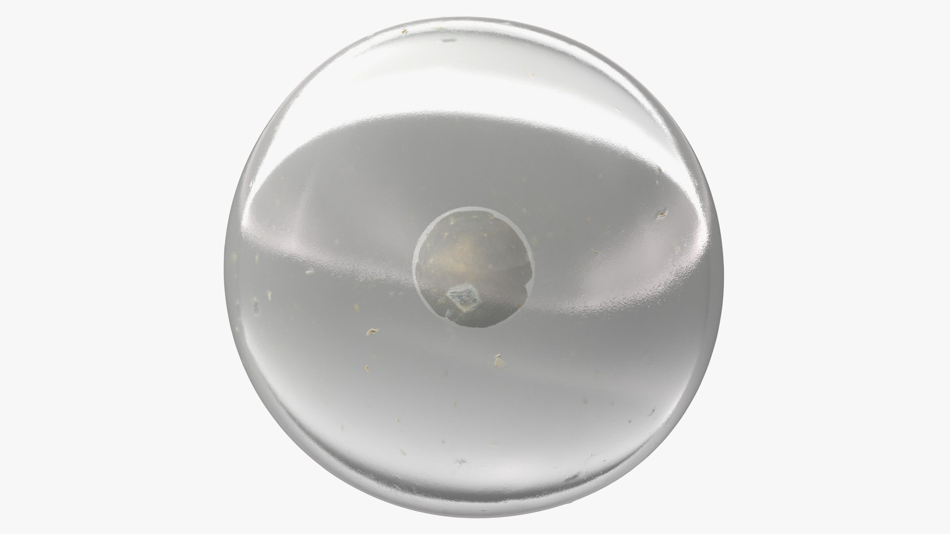 Frog Egg 3D model - TurboSquid 1719526