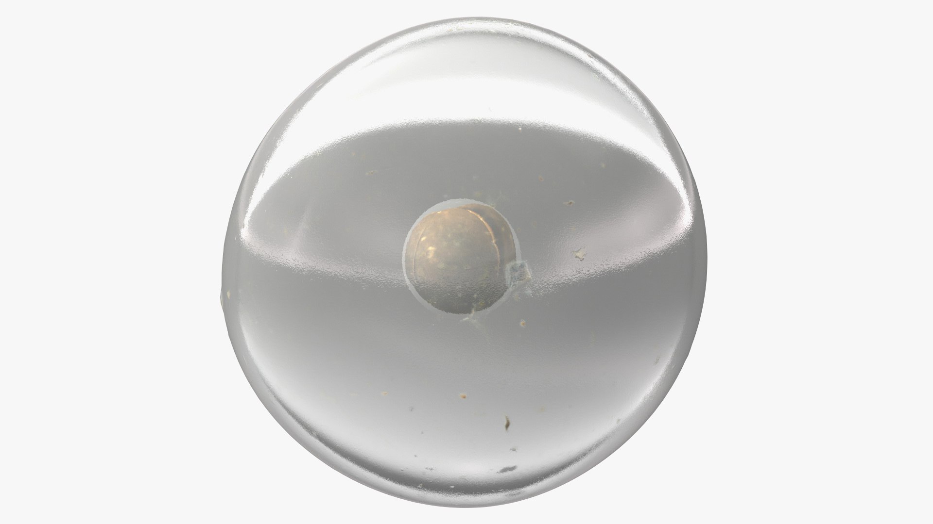 Frog Egg 3D Model - TurboSquid 1719526