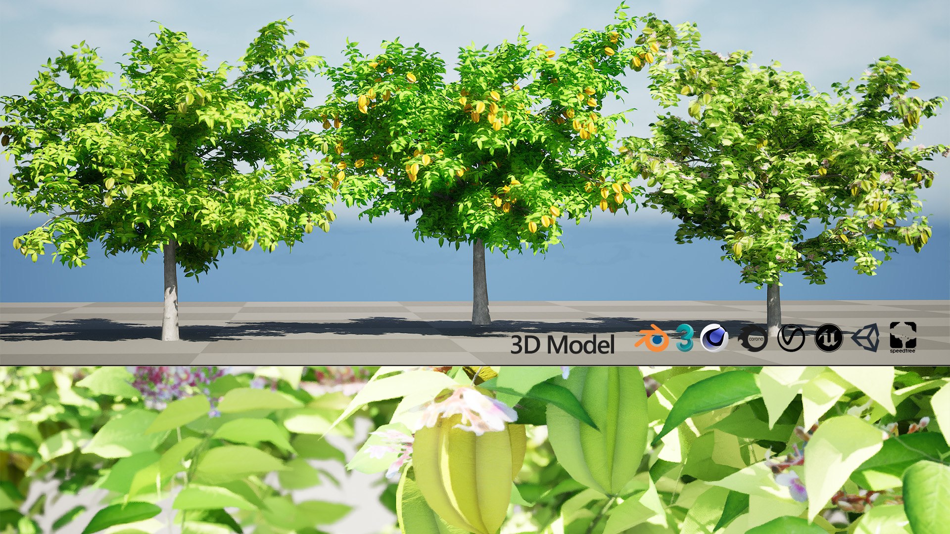 3D Model Starfruit Tree 3D Model - TurboSquid 2276943
