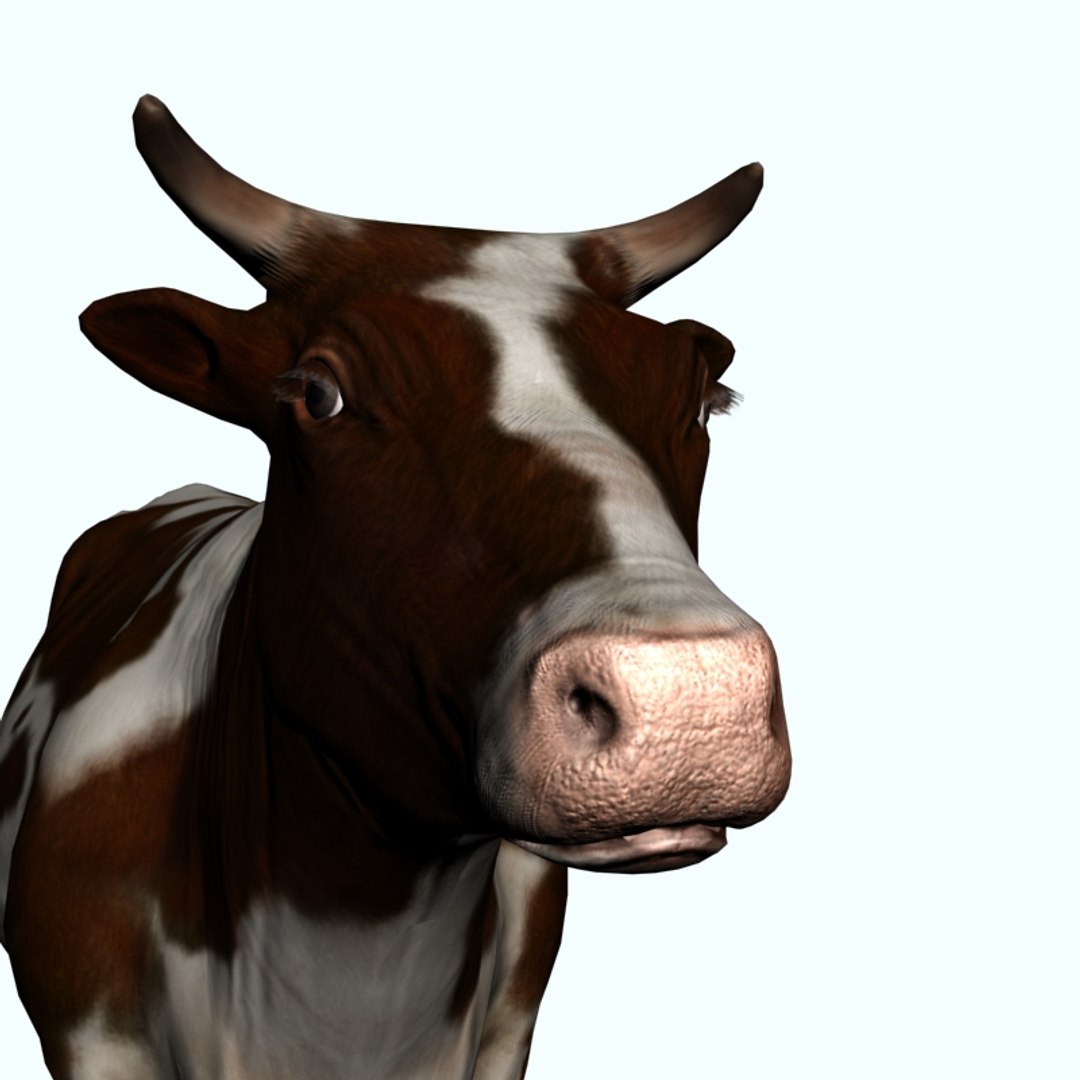Cow C4d