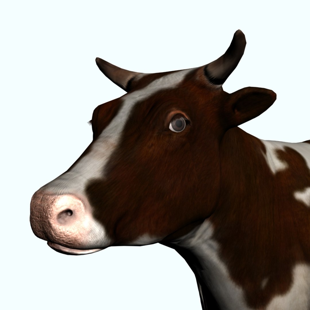 Cow C4d