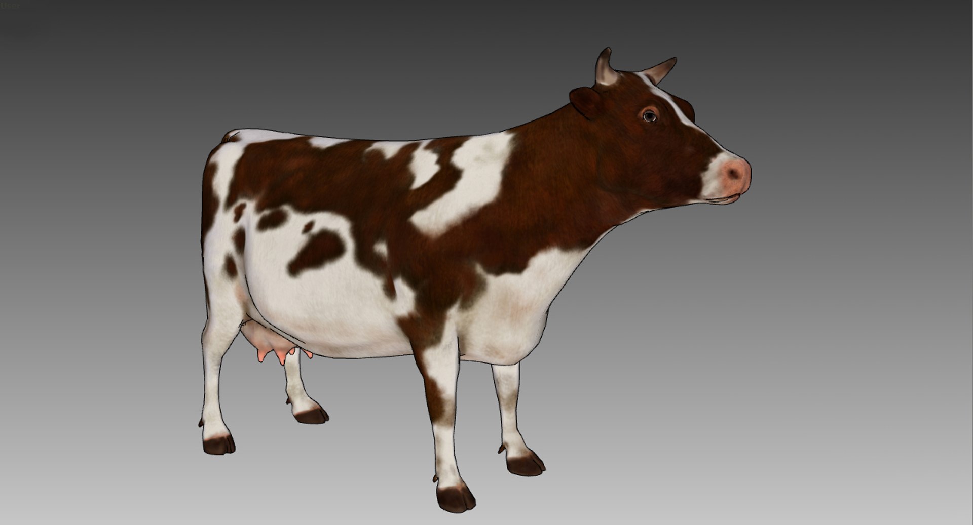 Cow C4d