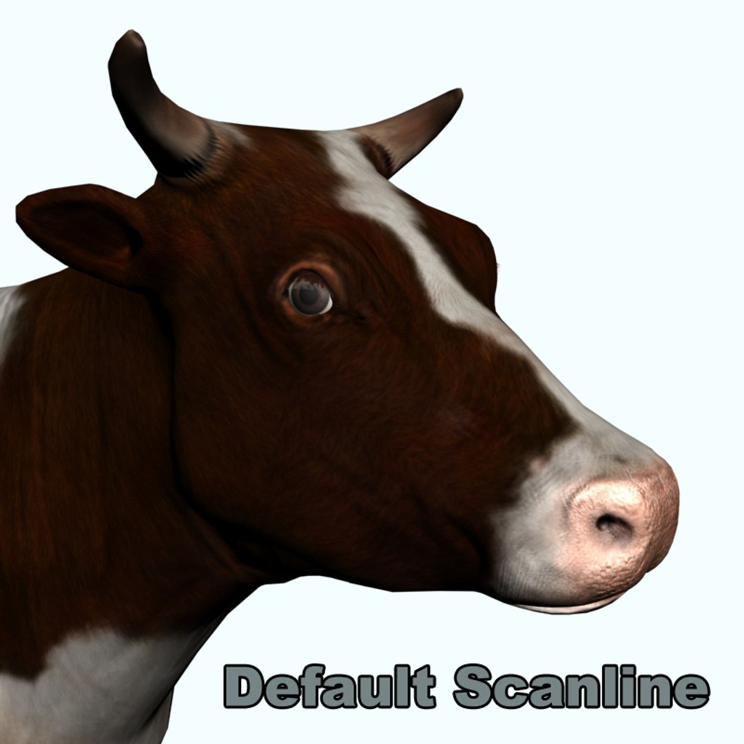 Cow C4d