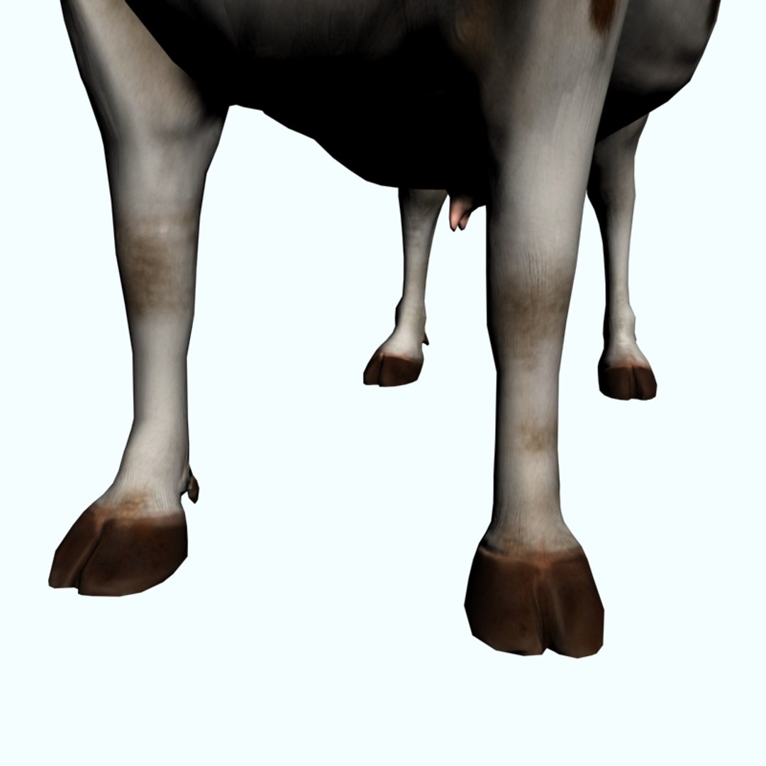 Cow C4d