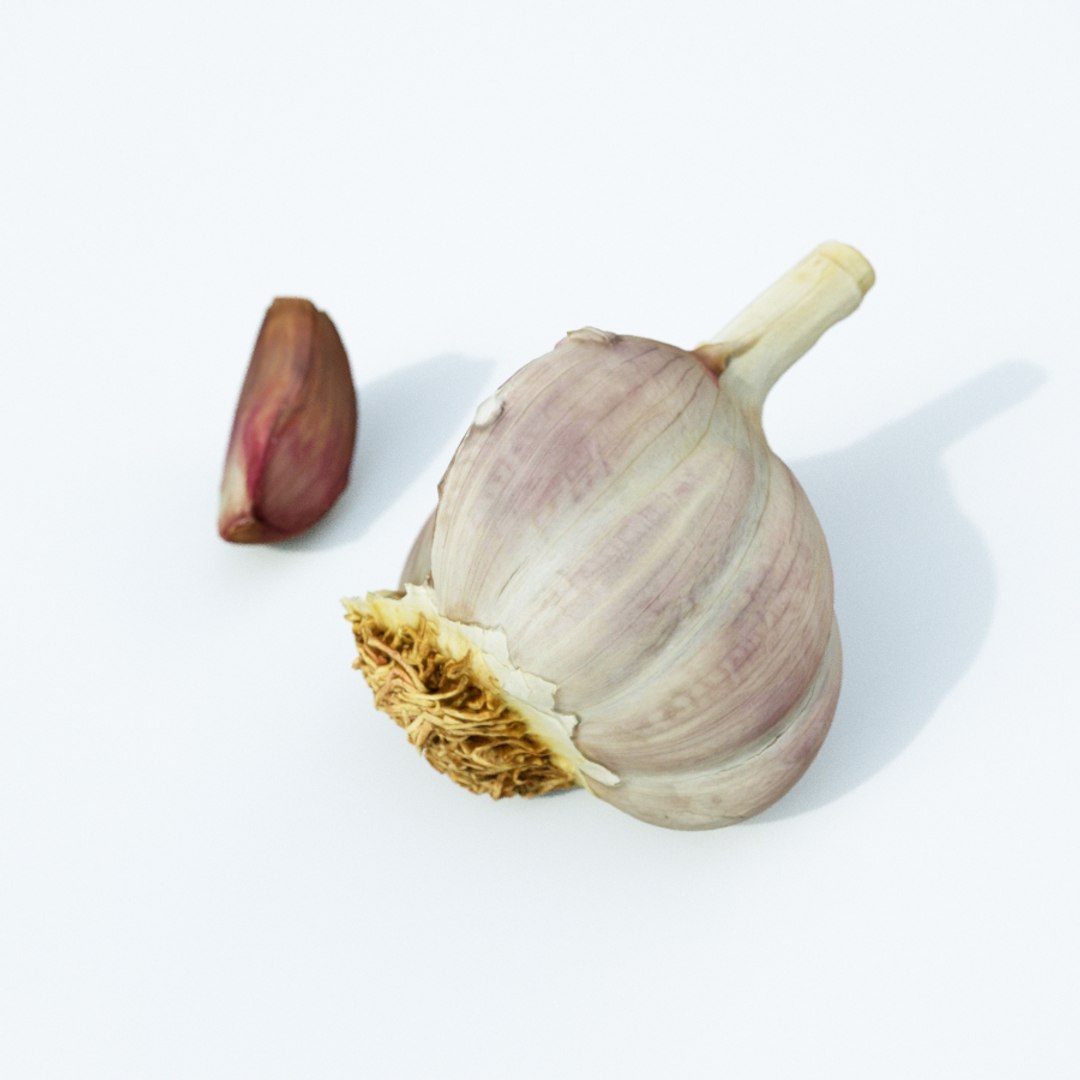 Garlic Opened 3D - TurboSquid 1349504