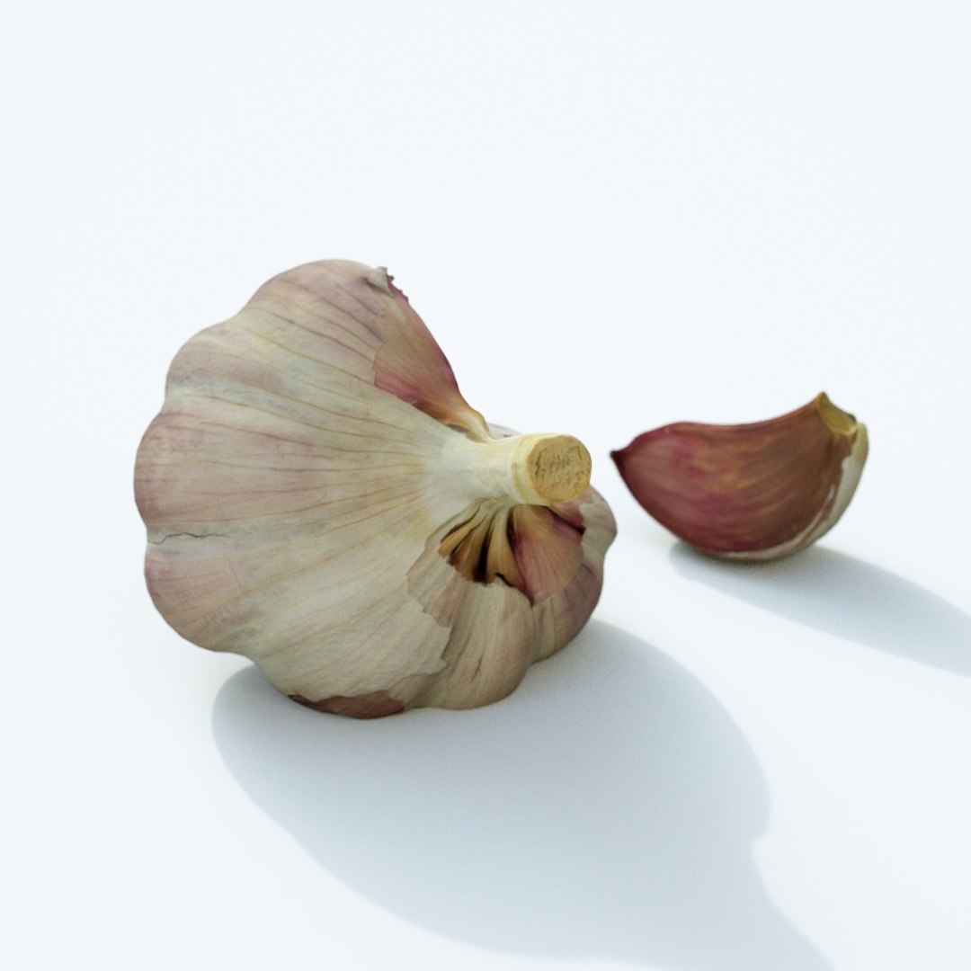 Garlic Opened 3D - TurboSquid 1349504